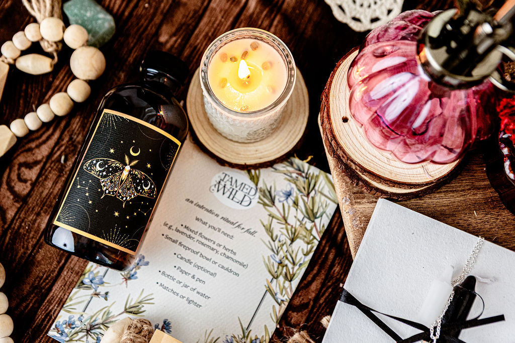 Subscription Boxes – Tamed Wild