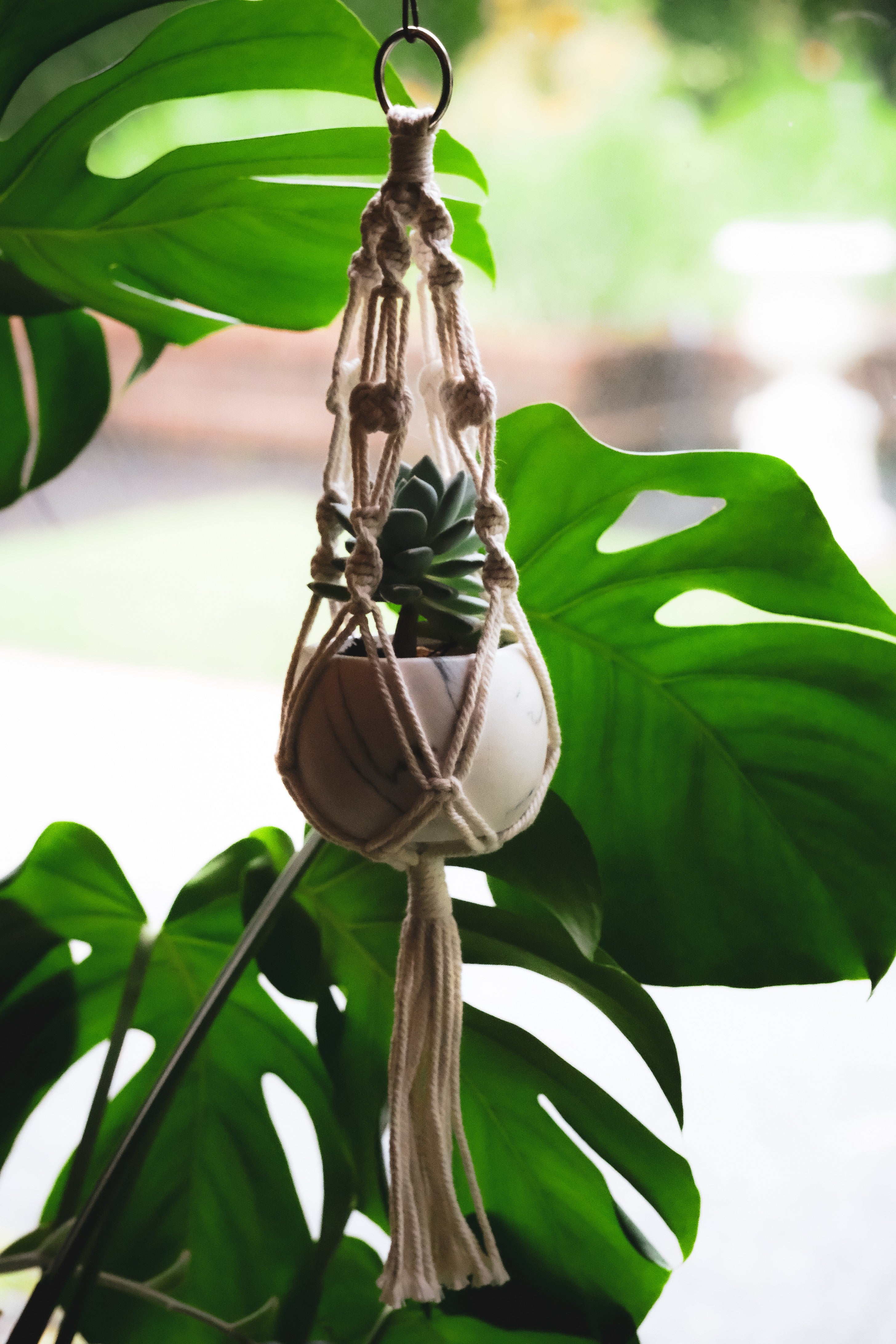 Macrame Plant Holder