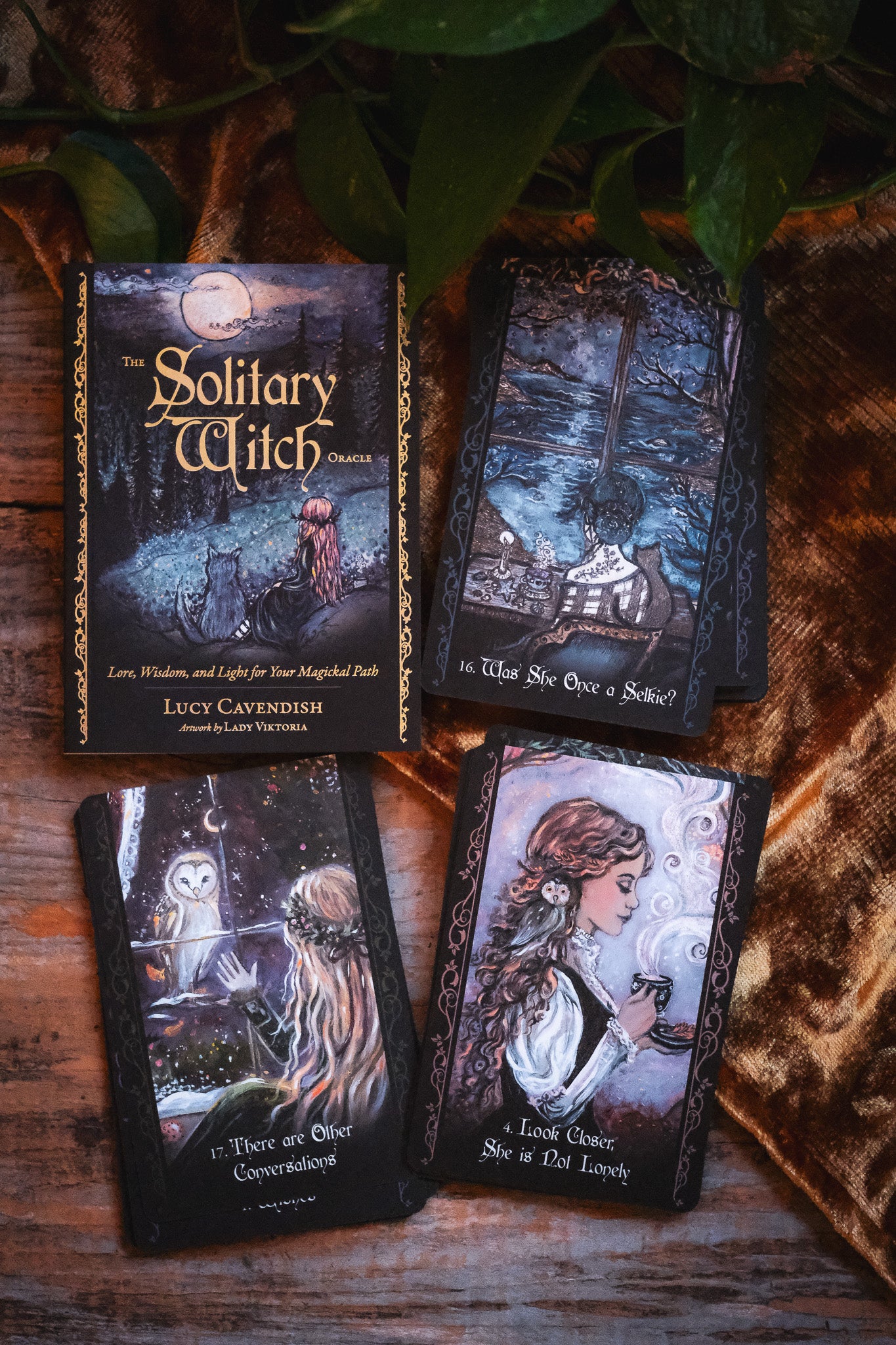 The Solitary Witch Oracle Deck & Book – Tamed Wild