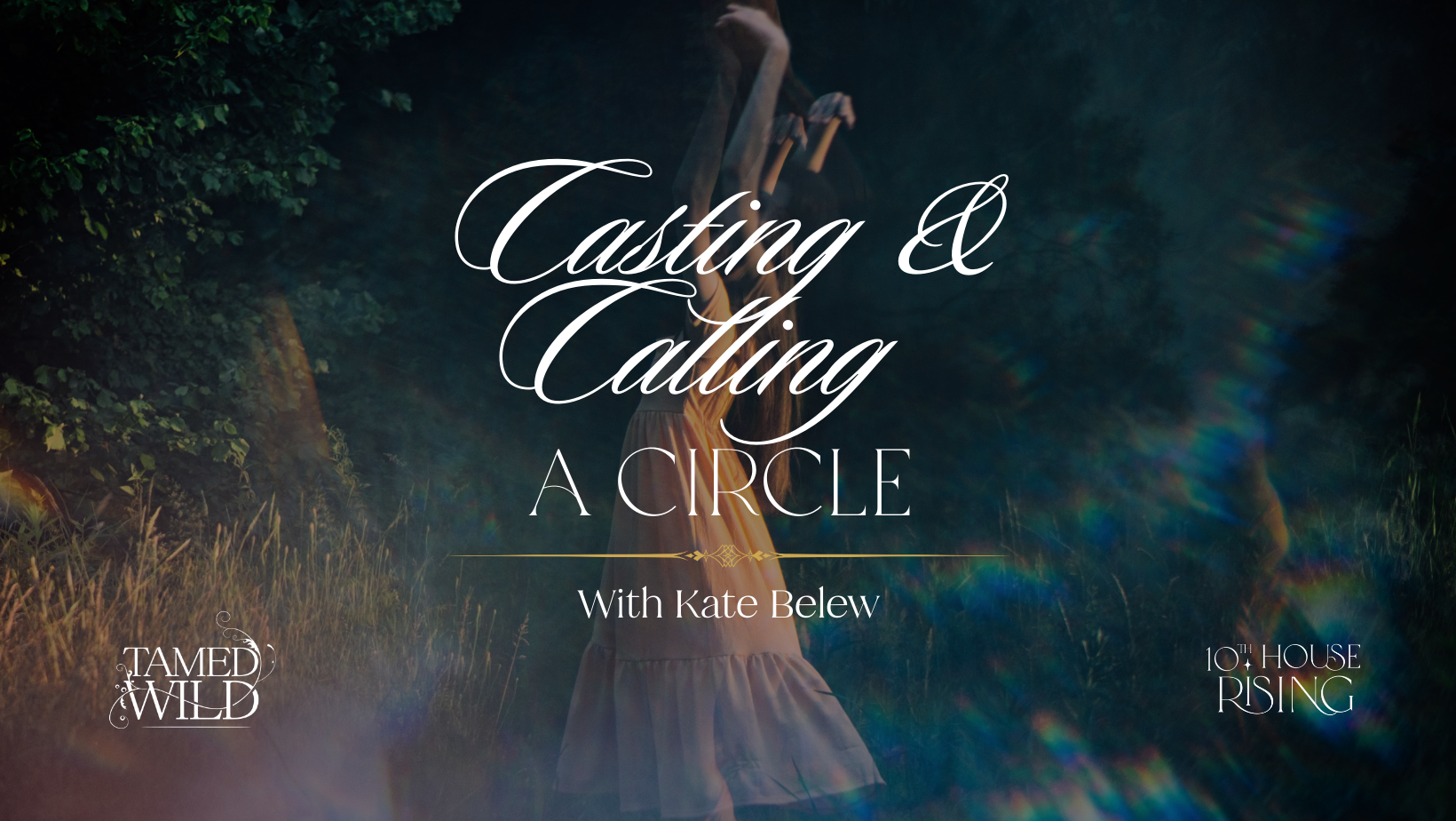 Webinars – Tamed Wild