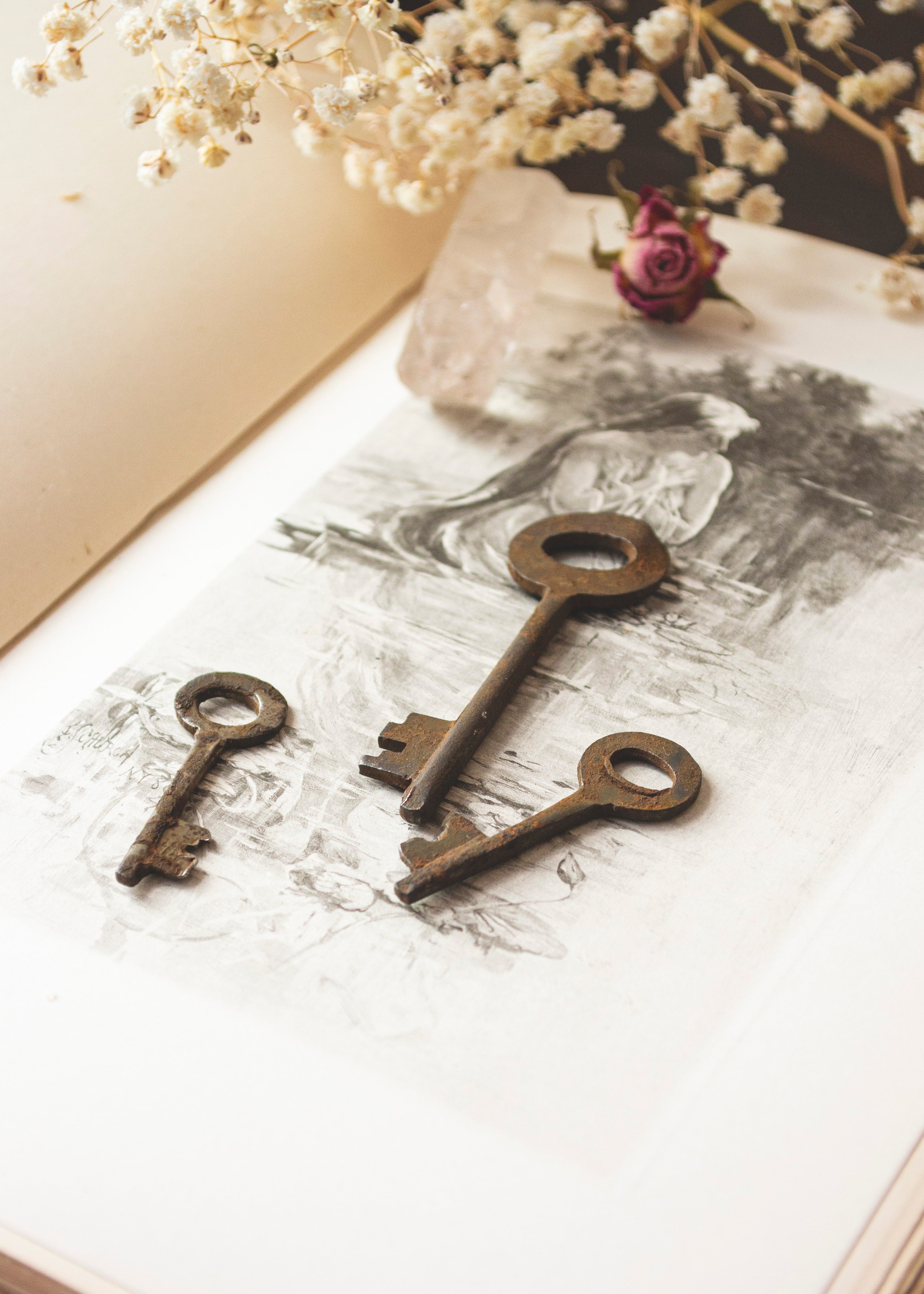 Skeleton Key Set
